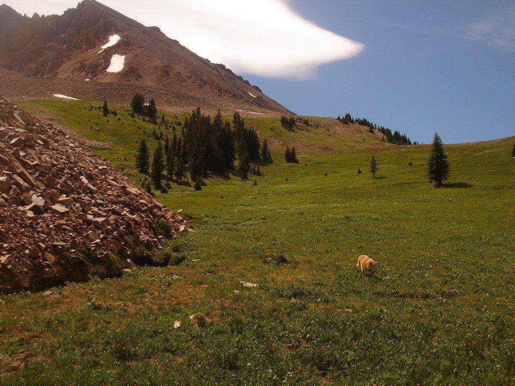 Best Hiking in Colorado - Hikes You Don't Want Miss!