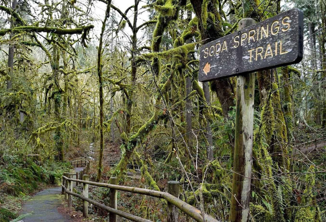 Best Camping in Oregon - The Top Campgrounds You Don't Want to Miss ...