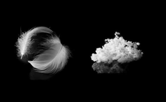 Goose vs Duck Down - What's the Difference? - All Outdoors Guide