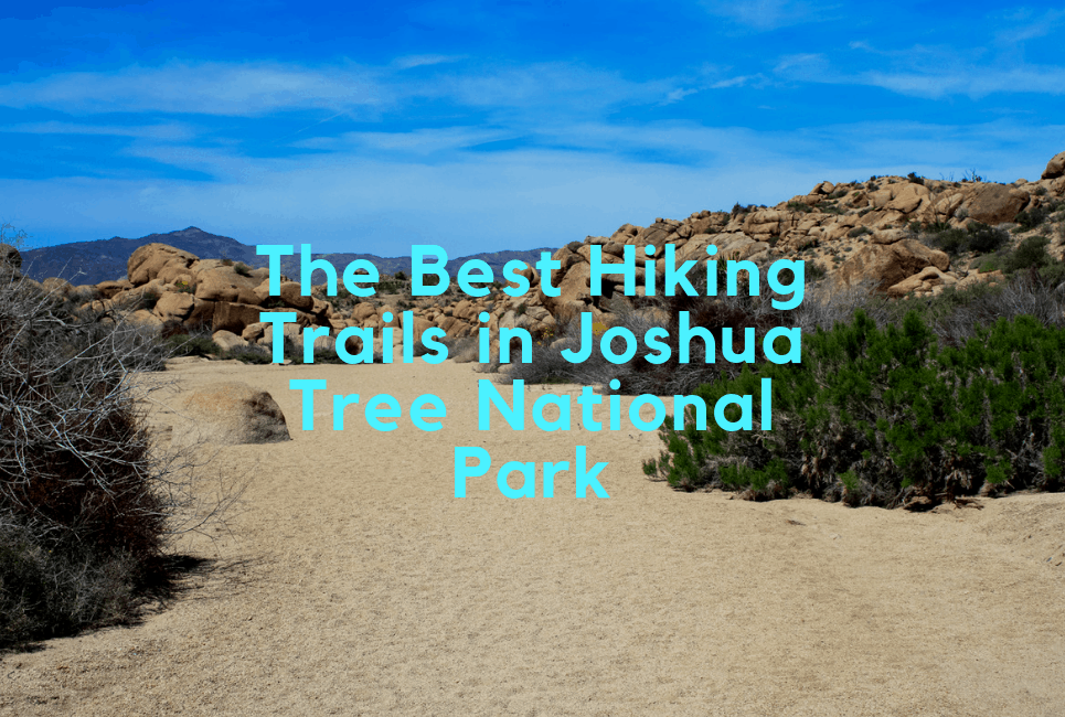 The Best Hiking Trails in Joshua Tree National Park - All Outdoors Guide