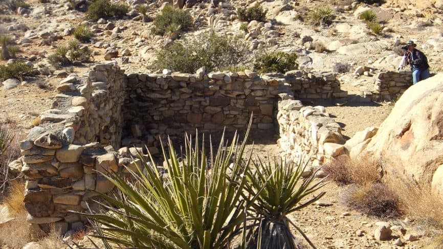 The Best Hiking Trails in Joshua Tree National Park - All Outdoors Guide