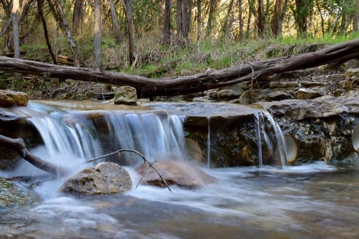 The Best Hiking Trails in Austin - Don't Miss Out! - All Outdoors Guide