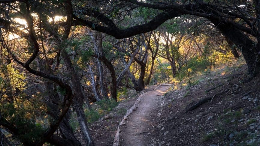 The Best Hiking Trails in Austin - Don't Miss Out! - All Outdoors Guide
